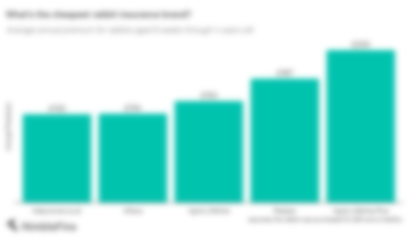 Rabbit insurance cost in UK for 2025 - do you need pet cover for a ...