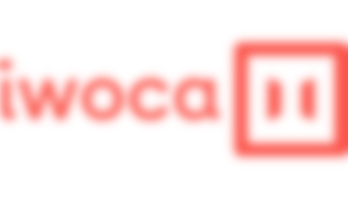 NimbleFins' Iwoca Review: The Business Loans for You? | NimbleFins