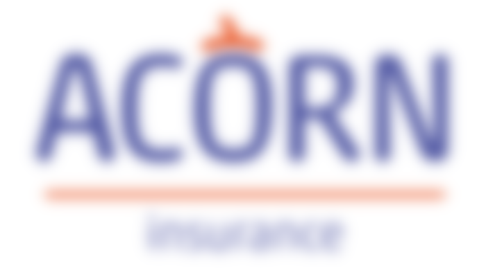 Acorn Car Insurance Review: High Risk or Learner Cover for You ...