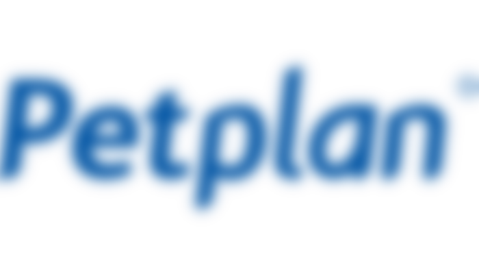 More Than Pet Insurance Review: Some Great Value Plans | NimbleFins