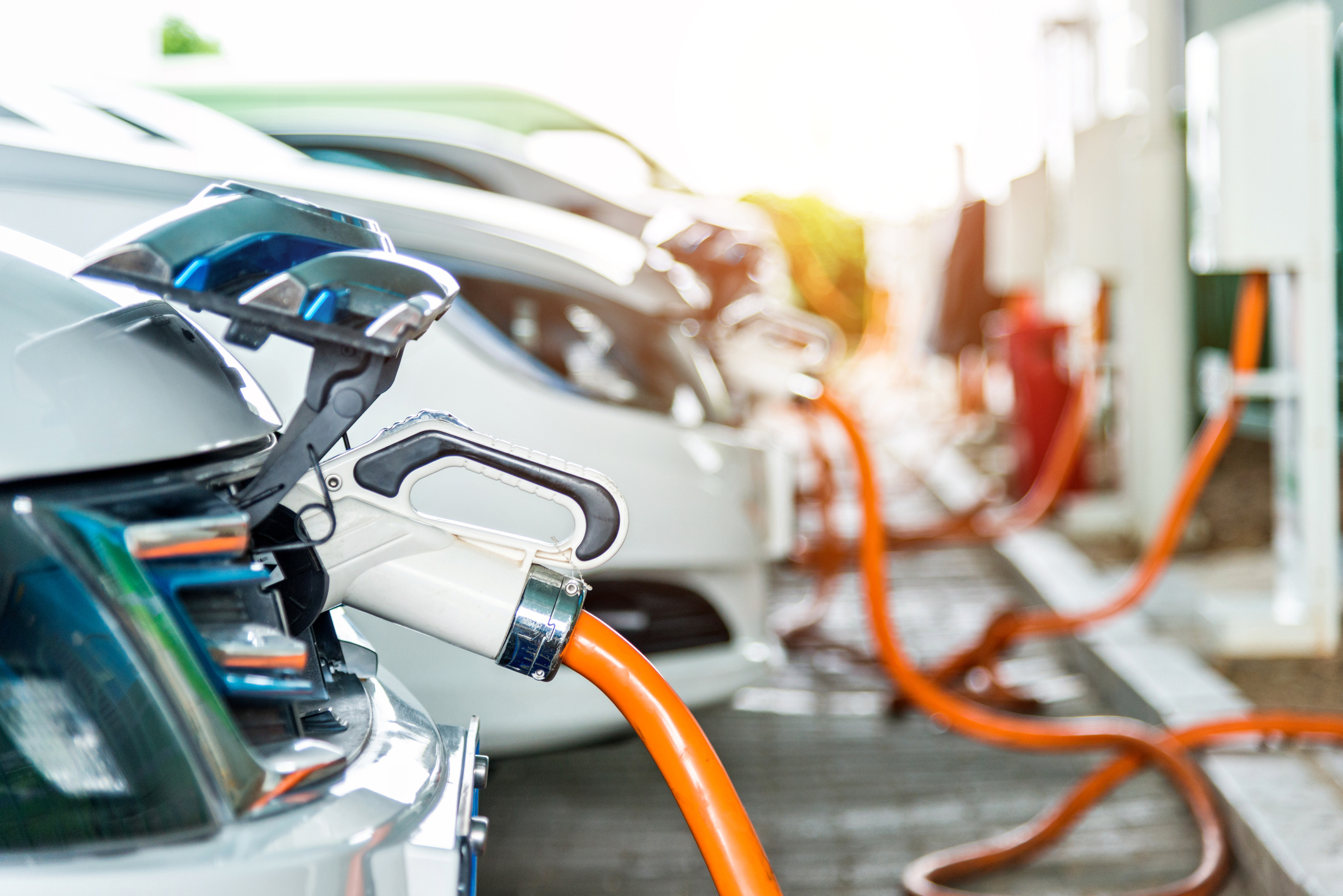 Most Popular Electric Cars 2026 | NimbleFins