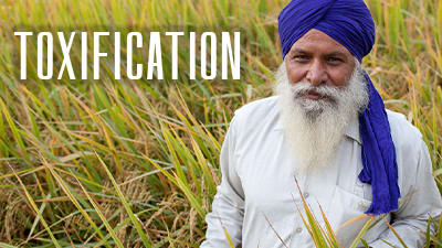 Watch Toxification by Rehmat Rayatt on Nishaani