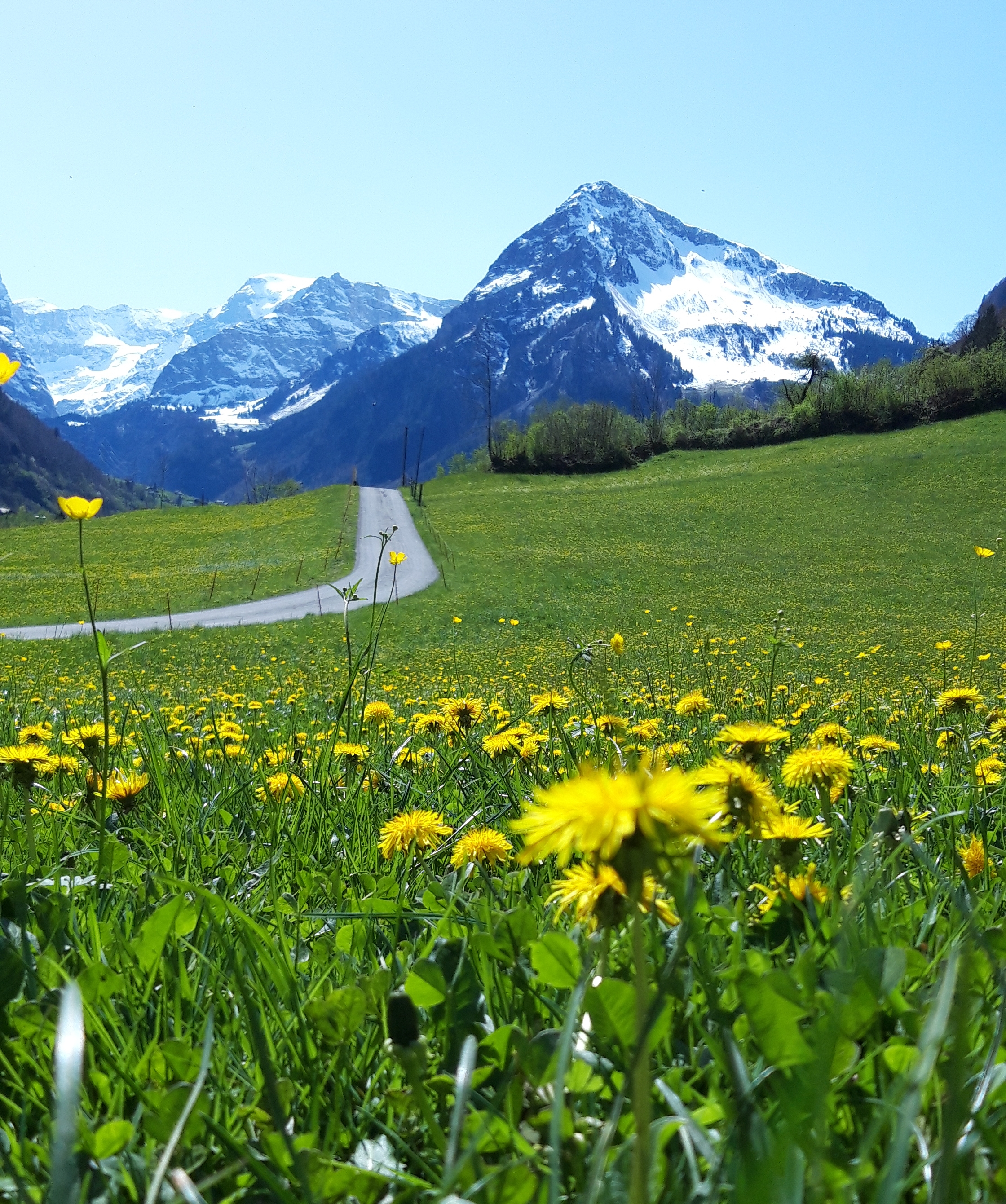 Biohof Tschingelgut Zeltplatz Anreise mit Auto | Nomady