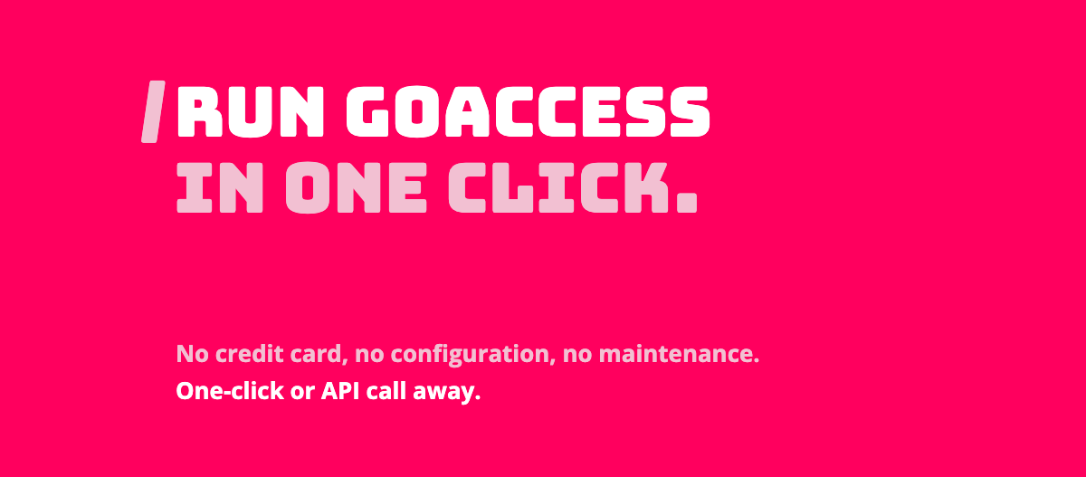 Run GoAccess in one click