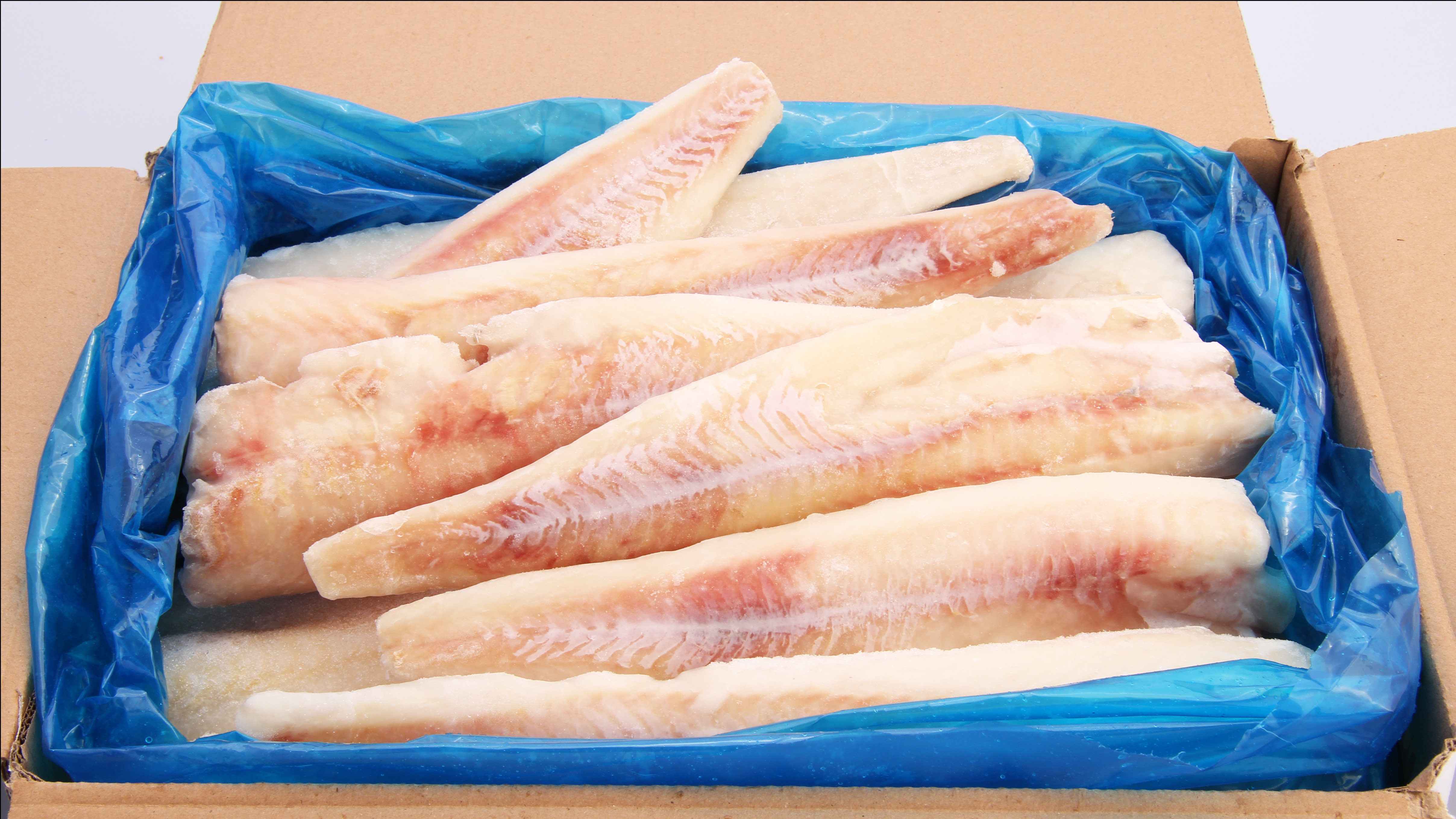 Sejfilé benfri MSC, sjöfryst