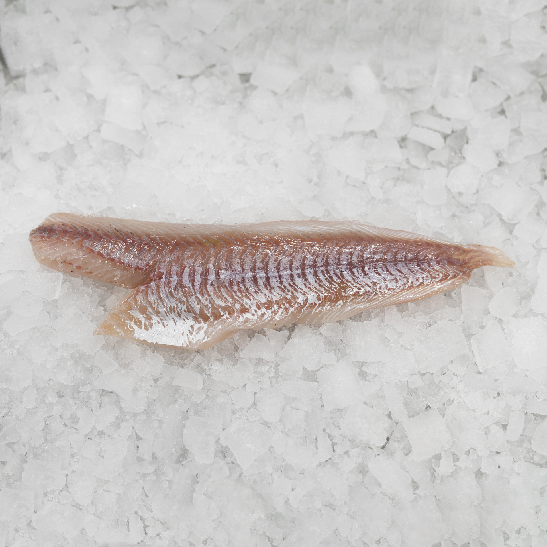 Sejfilé prod benfri MSC