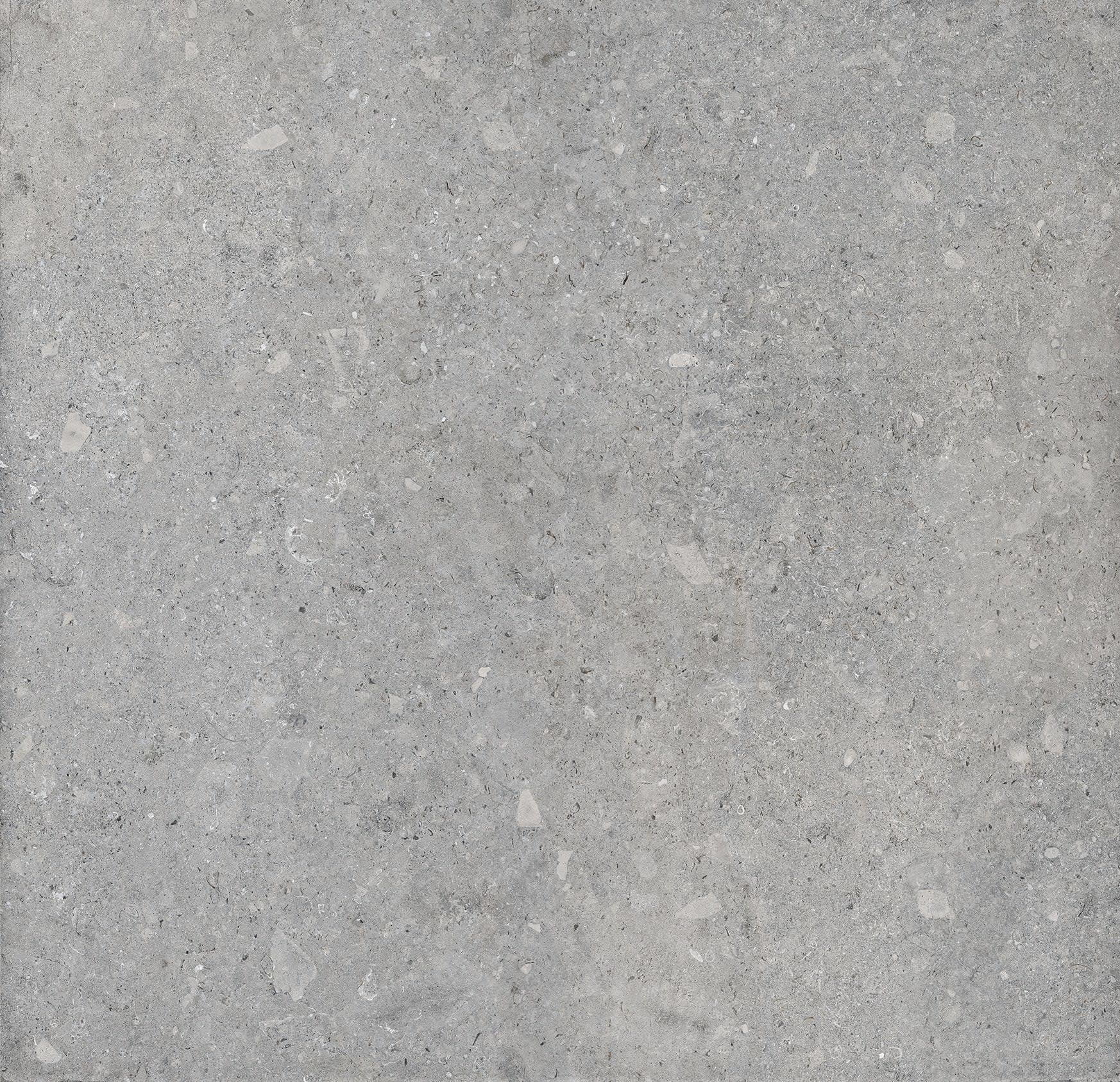 Vicentina 60x120 flisheller - Norfloor