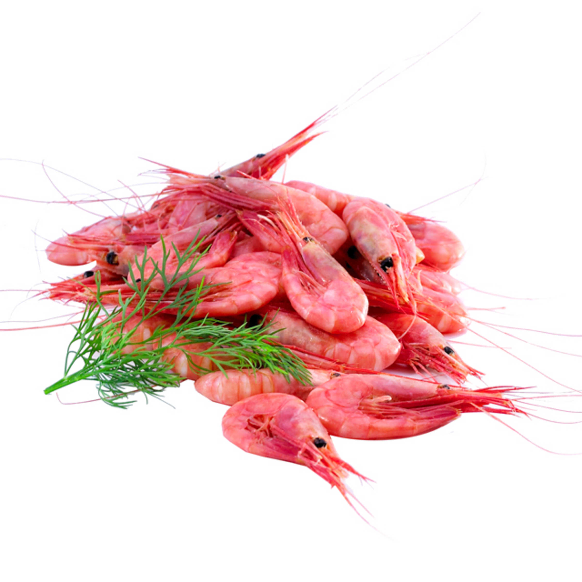 Ferske Reker - | Meny.no