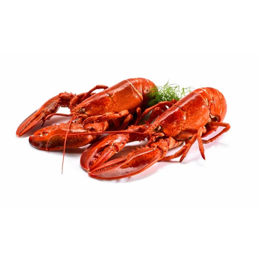 Hummer - Fersk pr stykk | Meny.no