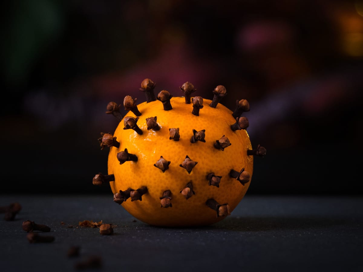 Nellik julekalender av appelsin og nellikspiker | Meny.no