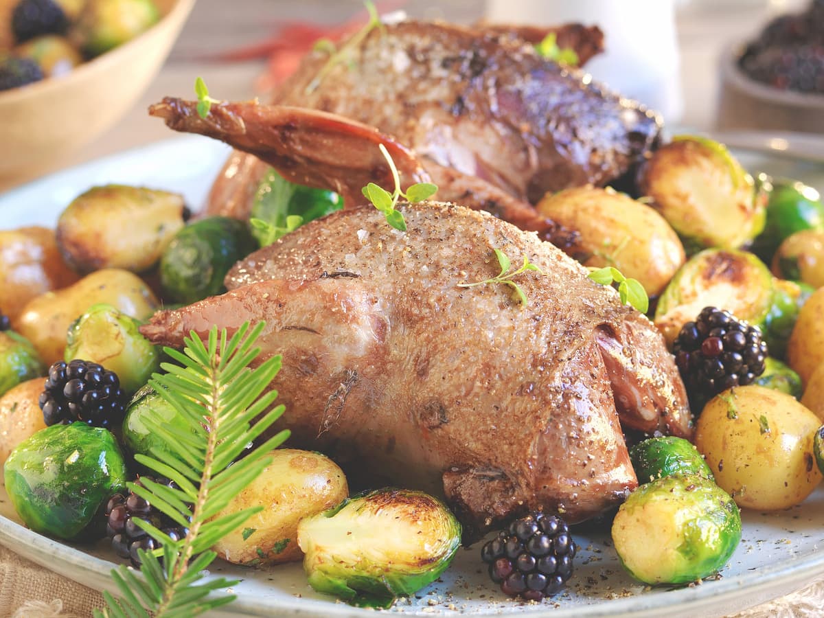 Rype - alt du trenger å vite | Steke, koke og tilberede | Meny.no