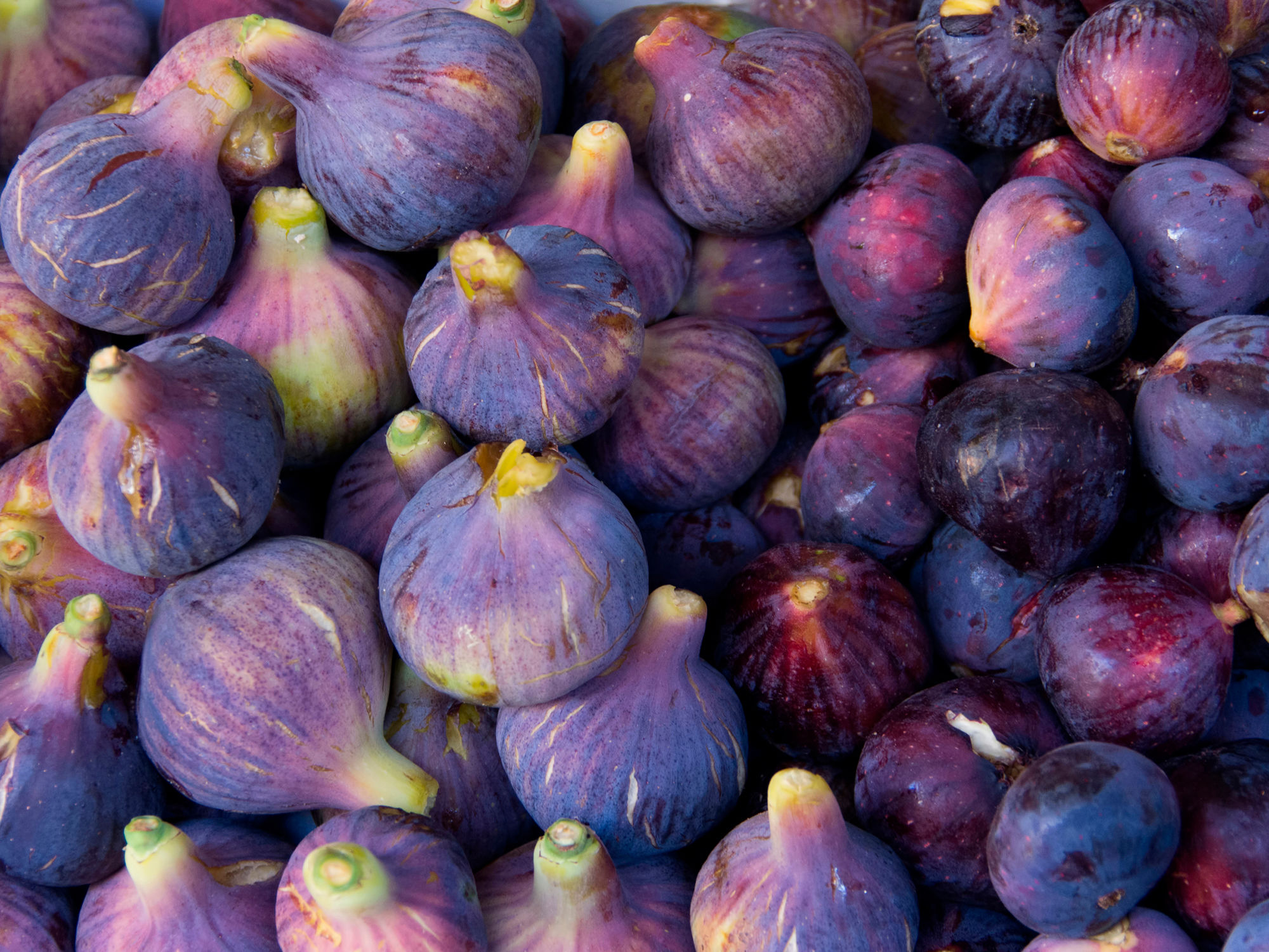 Fiken - en søt delikatesse | Meny.no