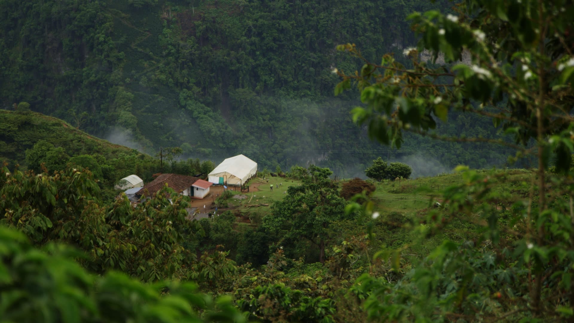 Trakter etter det beste | SPAR
