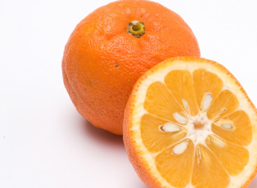 Appelsiner Bitre - 🧾Kassalapp