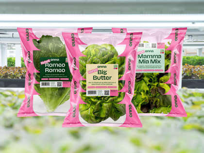 Svarthavre - kanskje vedens sunneste havre fra Den Sorte Havre