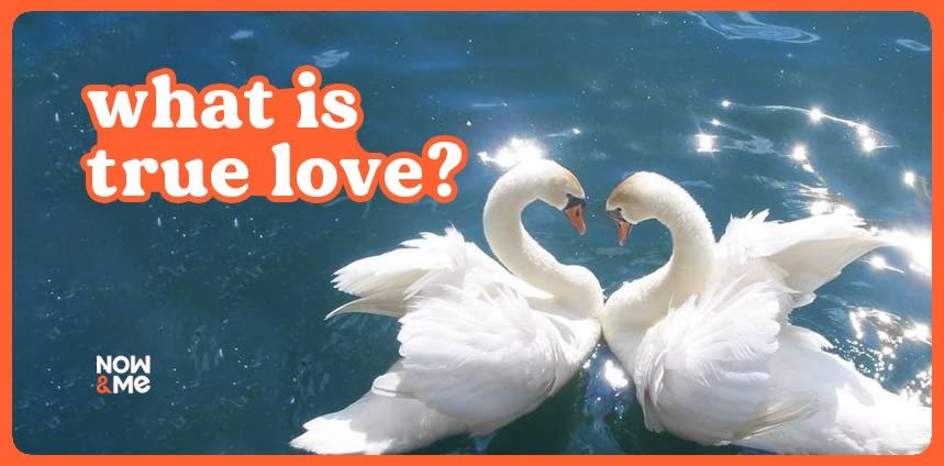 What is True Love? Understand the Essence of Authentic Relationships ...
