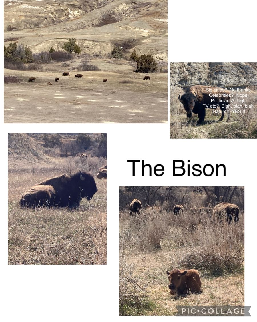 National Parks Conservation Association