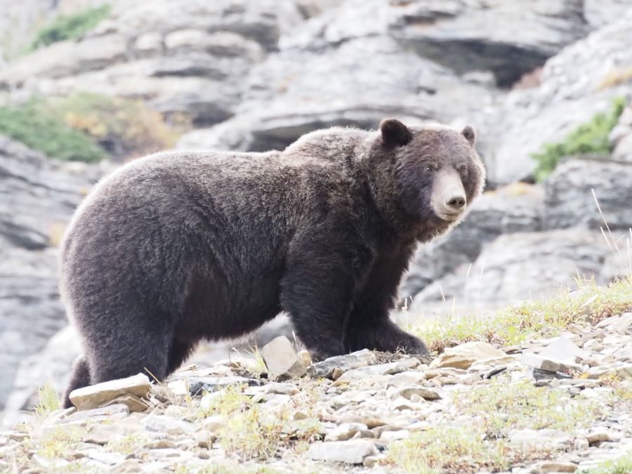 National Parks Conservation Association