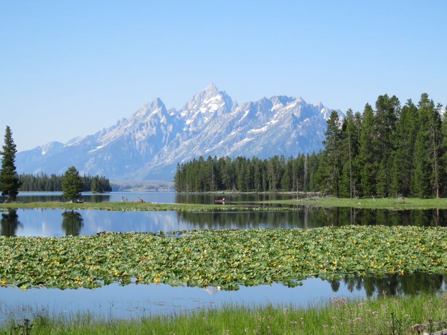 Greetings from Grand Teton National Park · National Parks Conservation ...