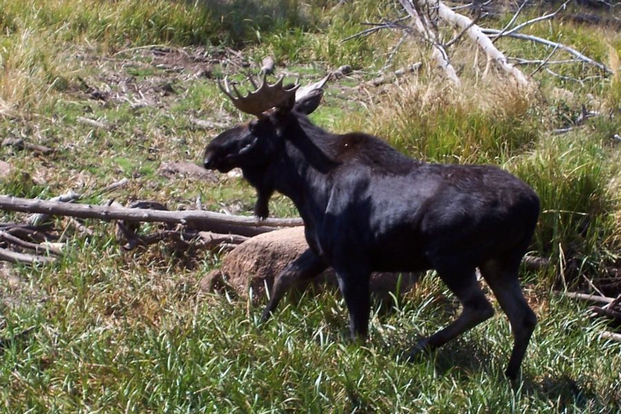 National Parks Conservation Association