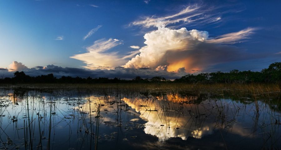 National Parks Conservation Association