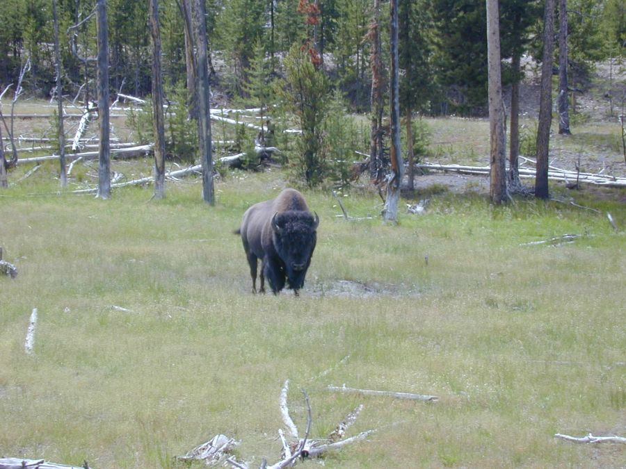 National Parks Conservation Association