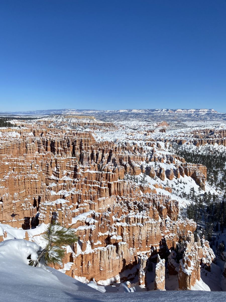 Greetings from Bryce Canyon National Park · National Parks Conservation ...