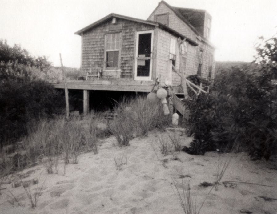 Greetings from Cape Cod National Seashore · National Parks Conservation ...