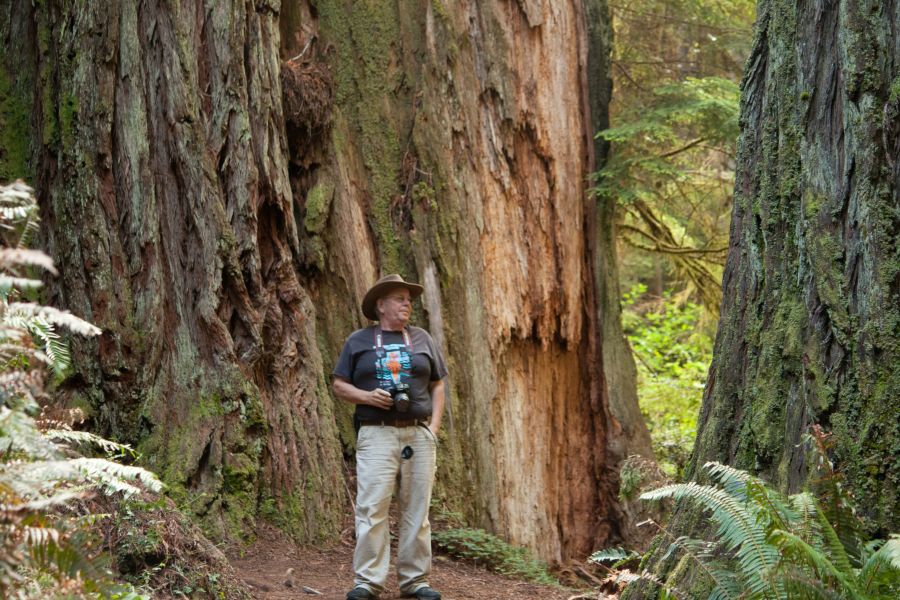 Greetings from Redwood National & State Parks · National Parks ...