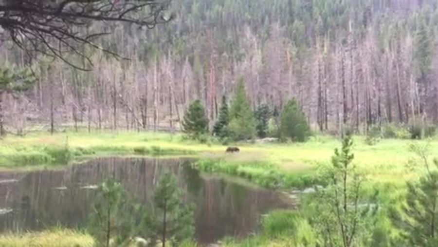 National Parks Conservation Association