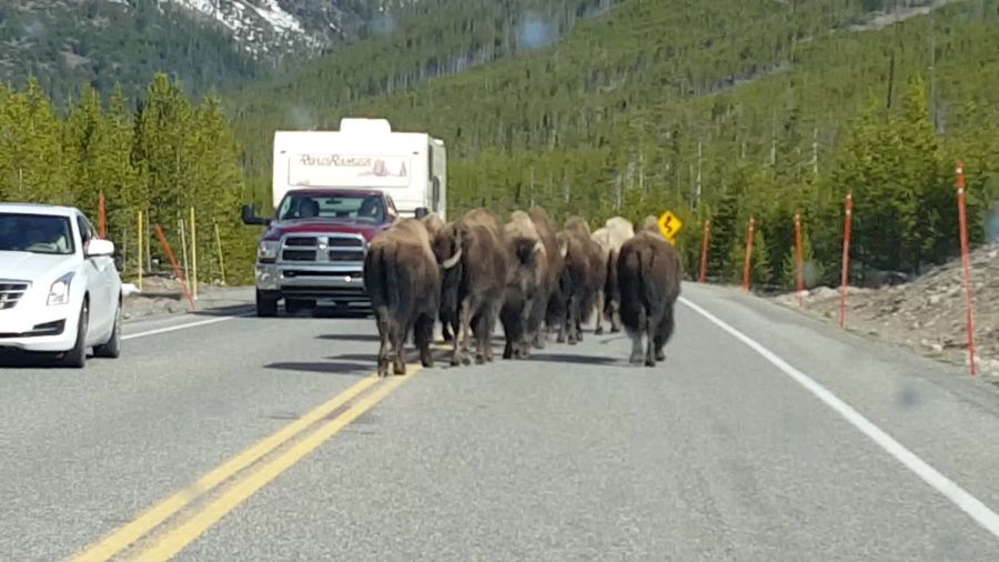 National Parks Conservation Association