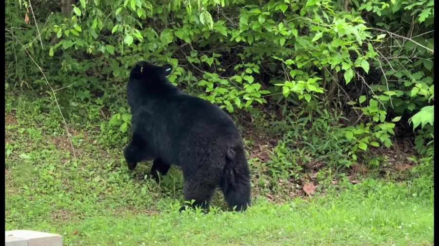 National Parks Conservation Association