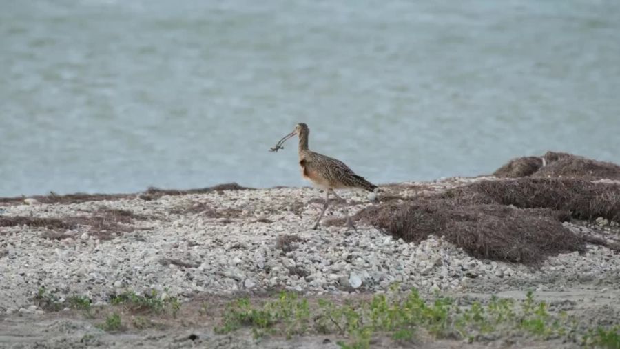 National Parks Conservation Association