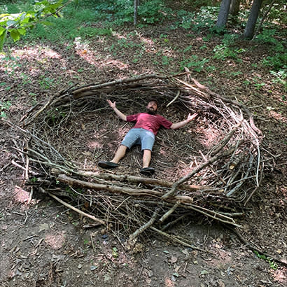 Chesterfield Crowned Prismatic Raptor Perches in Local Parks | Park ...