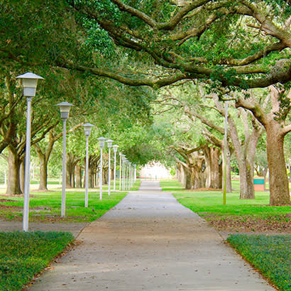 Parks and Recreation Builds Sustainable, Resilient Communities ...