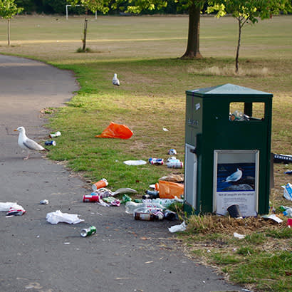 Is a Three-Year Park Access Ban for Littering Constitutional? | Law ...