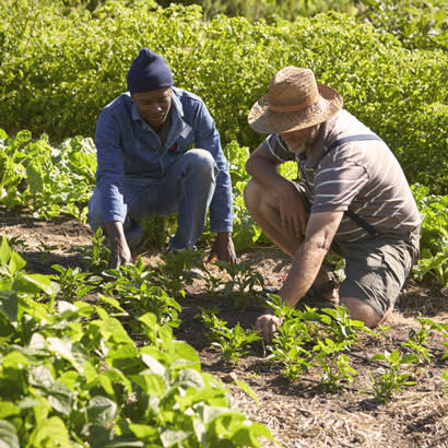 Driving Food Access in Partnership and Power with Community | Open ...