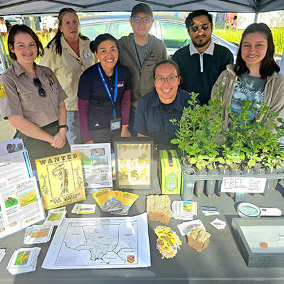 Protecting Oak Trees: Battling the Goldspotted Oak Borer | Open Space ...