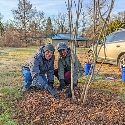 Planting Root in Your Parks and Community for Park and Recreation Month ...