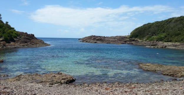 Bass Point Picnic/Snorkelling : MX-5 Club of NSW