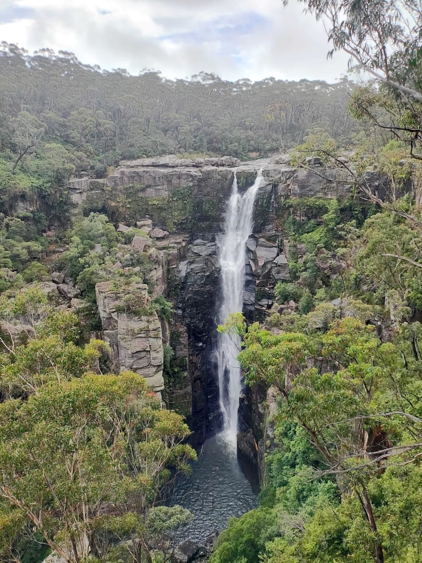 Where it all began - Carrington Falls Picnic : MX-5 Club of NSW