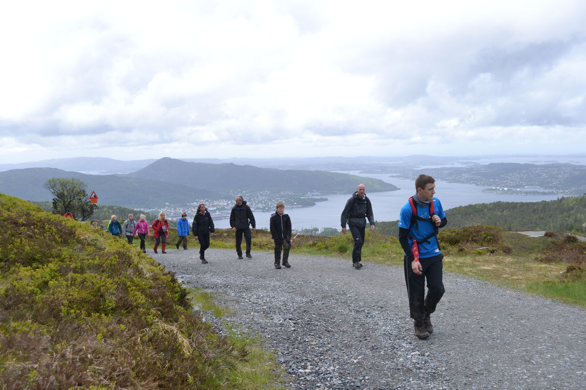 Svartediket - Våkendalen - Rundemanen - Fløyen