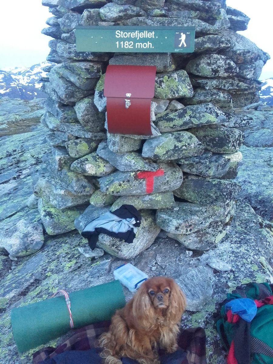 Topptur til Storefjellet i Gaular kommune