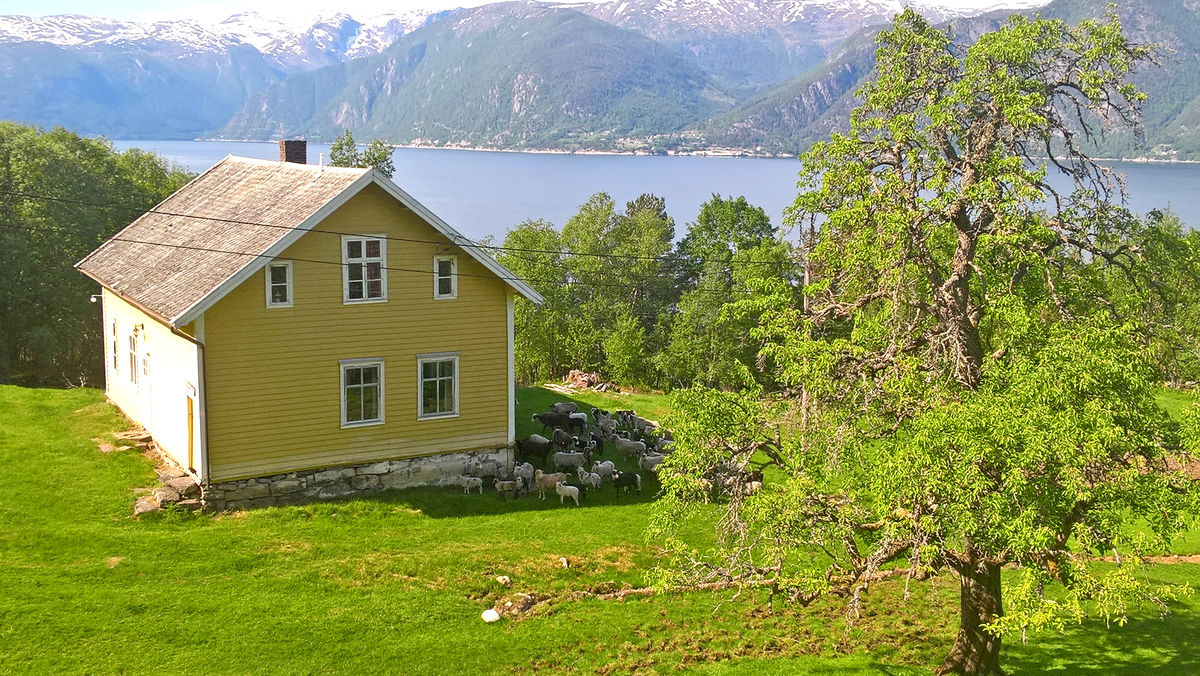 Ortnevik - Sylvarnes: Vandring langs veglause strender