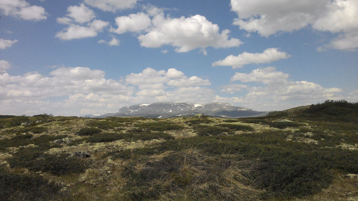 Hytte til hyttetur-Geilo-Hakkesetstølen-Tuva-Krækkja-Finsehytta