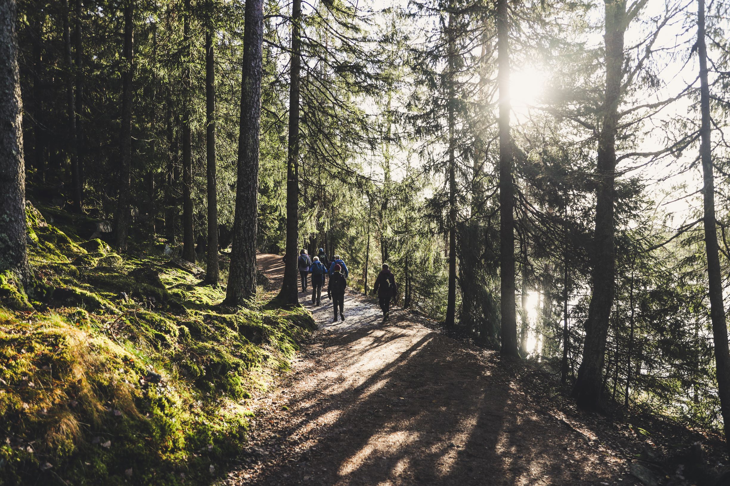 Hestejordene i Groruddalen