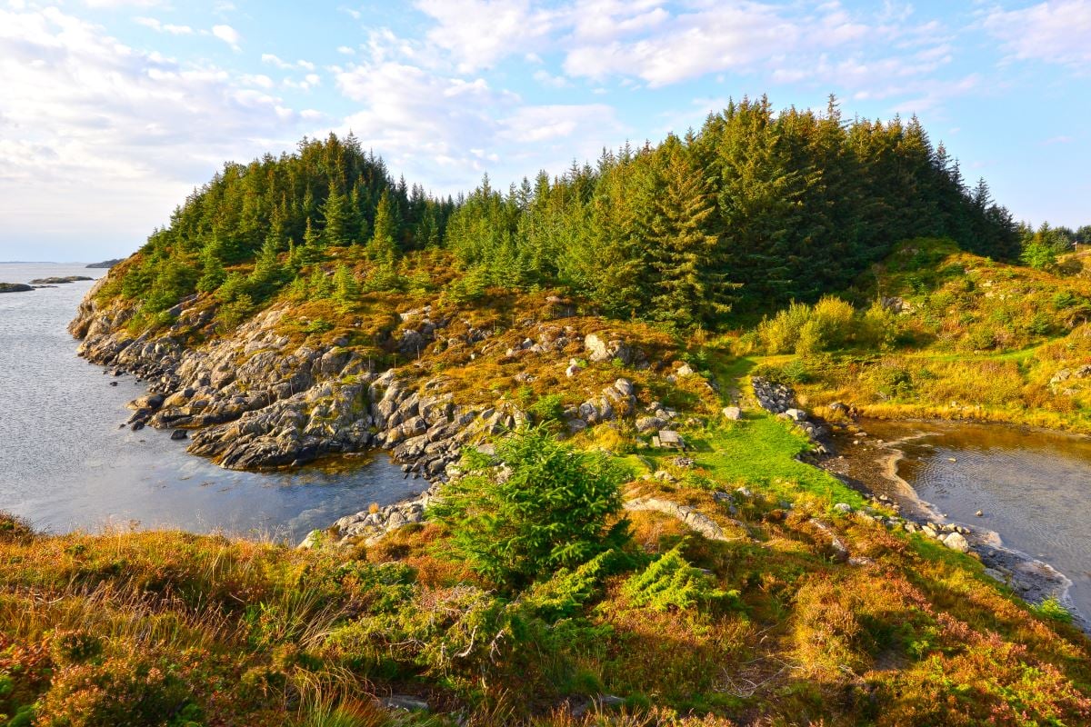 Friluftsområdet Byngja - Alver kommune