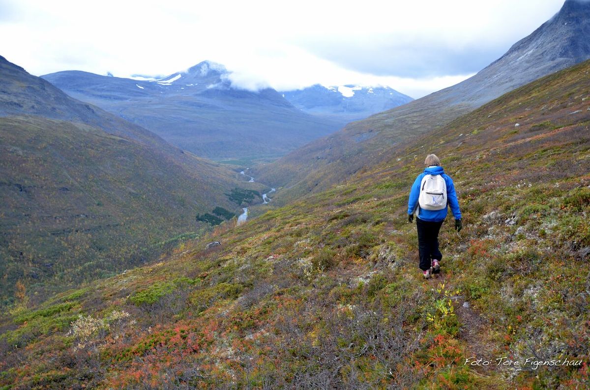 Tyskveien, Signaldalen/Čiekŋalvuovdi