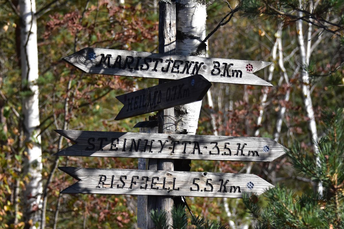 Risfjell og rundtur om Steinhytta i Gjerstad kommune