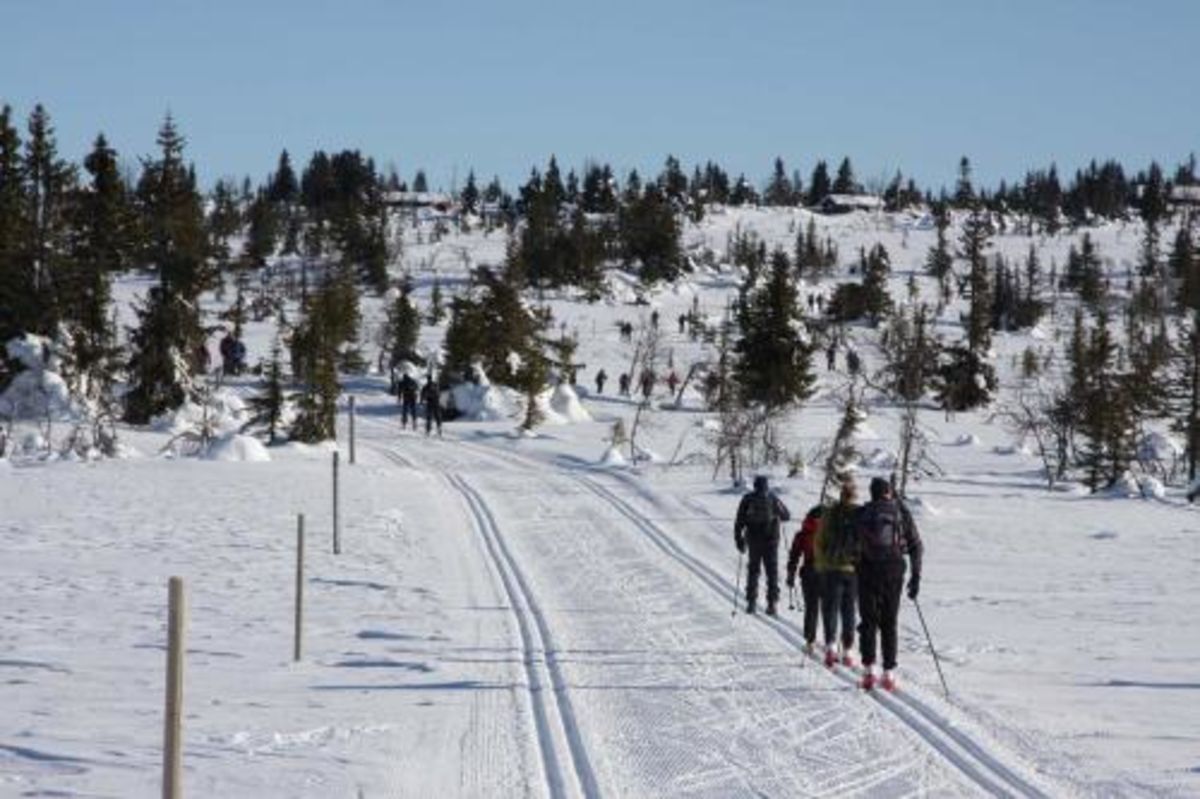 Natrudstilen på langrennski